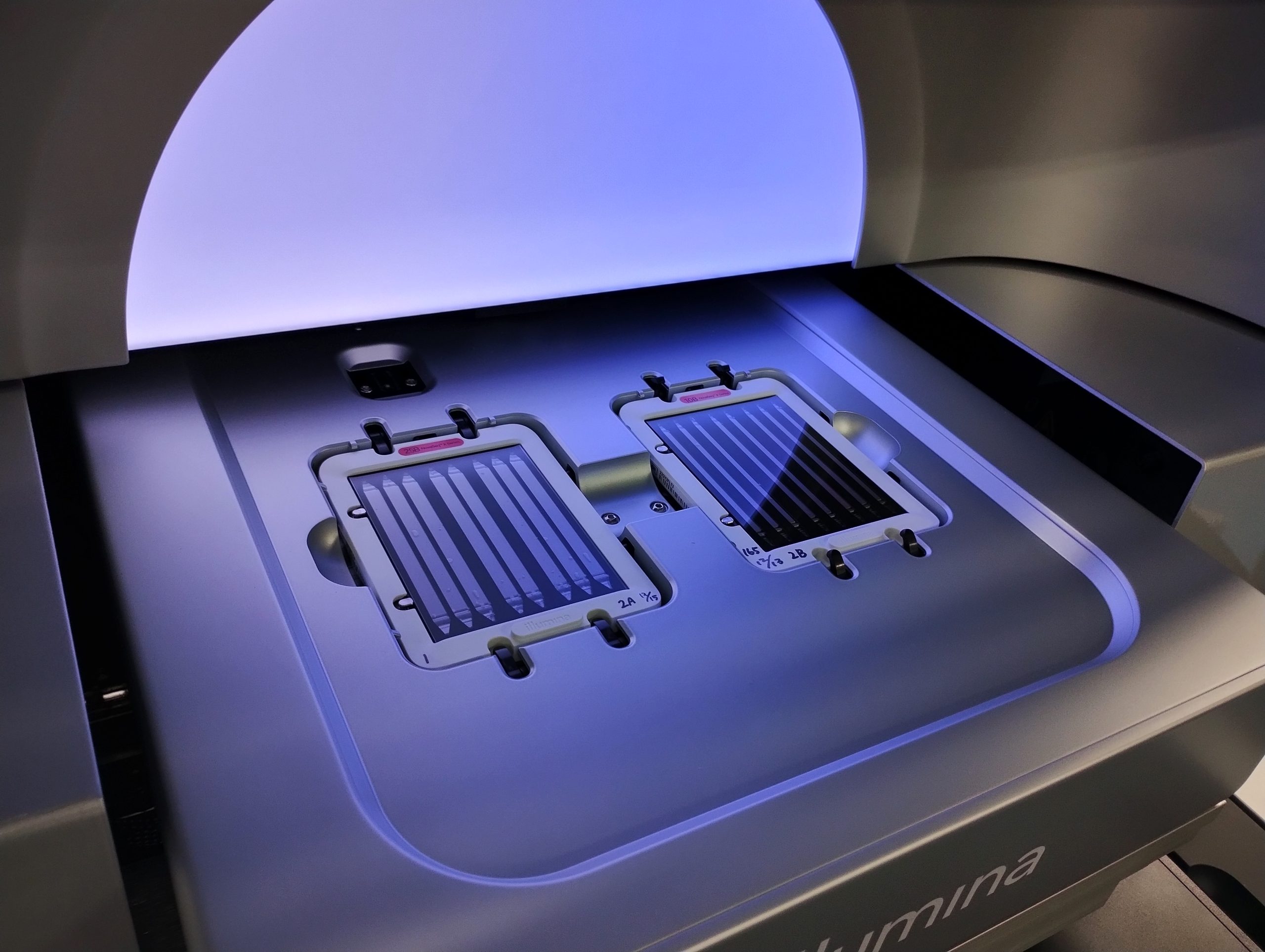 NovaSeq X Plus 25B フローセル発売記念キャンペーン 新春大特価*)